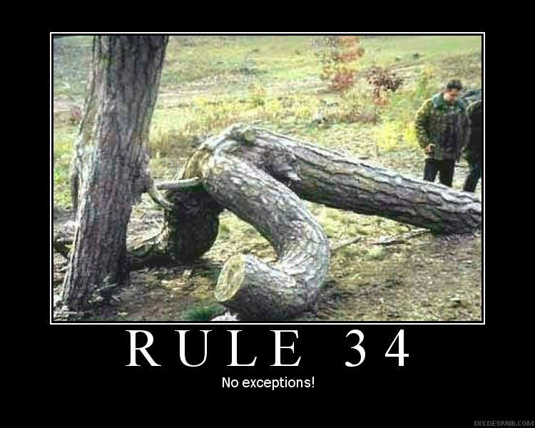Rule 34 Really Funny Pictures Collection On Picshag