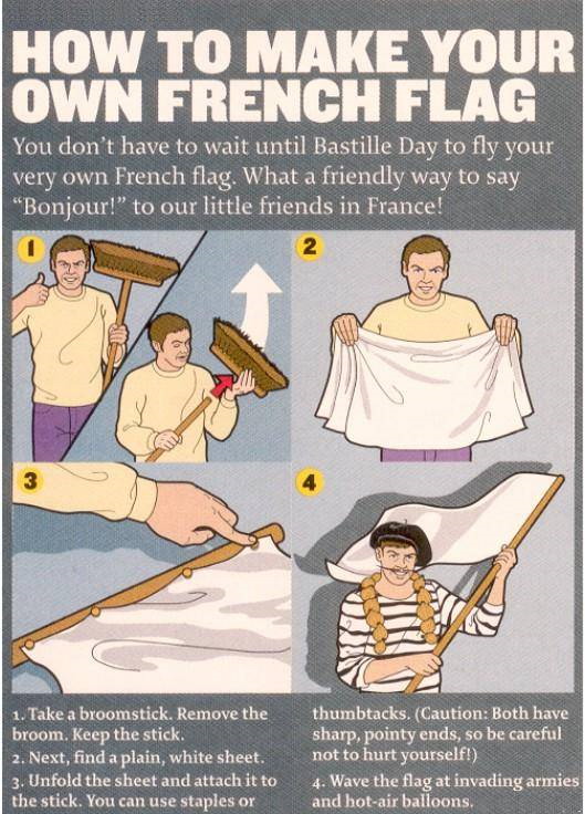 How To Make Your Own French Flag Really Funny Pictures Collection On 