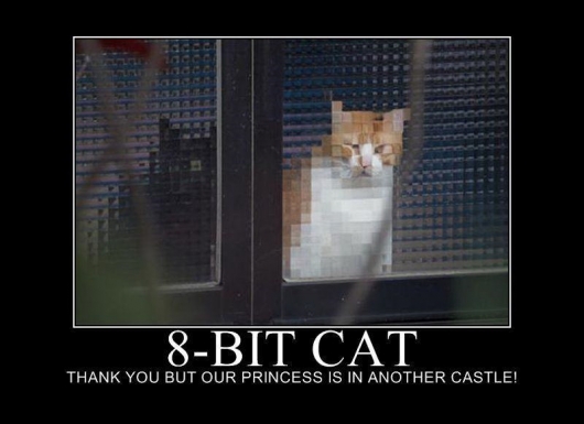 8-bit cat - Really funny pictures collection on picshag.com