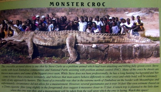 Monster croc - Really funny pictures collection on picshag.com