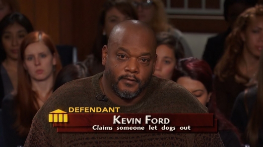 Who let the dogs out? - Really funny pictures collection on picshag.com