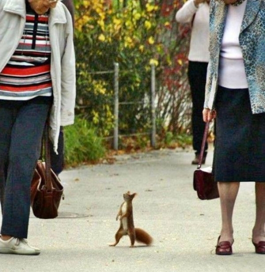 Whatcha looking at? - Really funny pictures collection on picshag.com