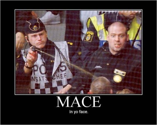 Mace - Really funny pictures collection on picshag.com
