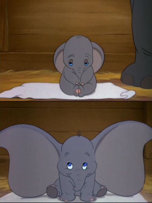 Dumbo's ears - Really funny pictures collection on picshag.com