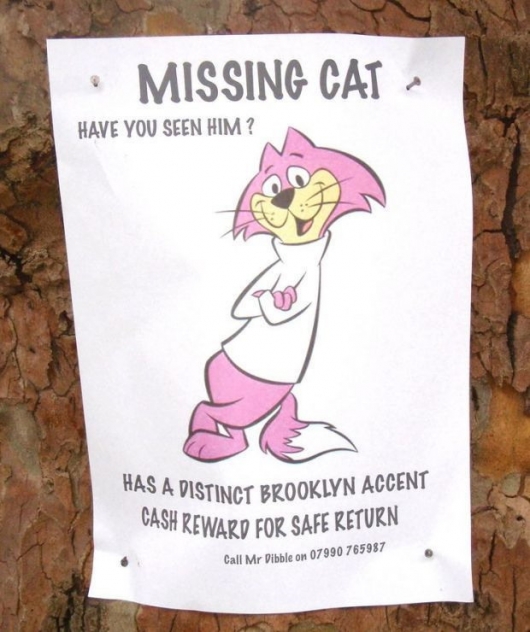 Missing cat - Really funny pictures collection on picshag.com
