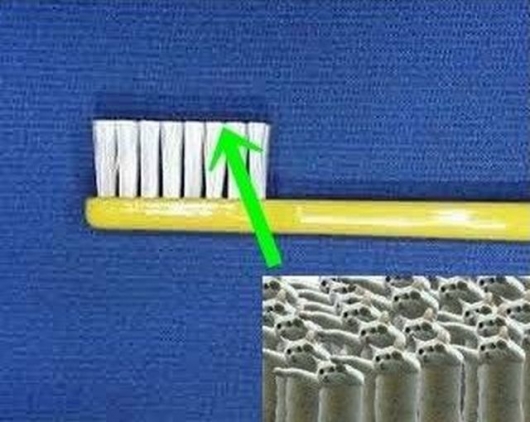 Toothbrush zoom - Really funny pictures collection on picshag.com