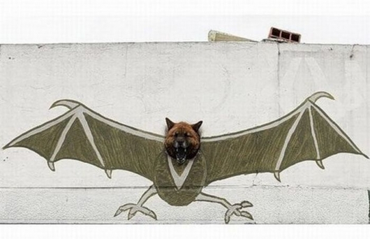 Bat dog - Really funny pictures collection on picshag.com